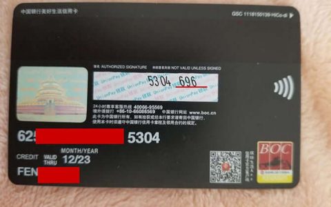 CVV项目从入门到进阶 | cvv料站教程网